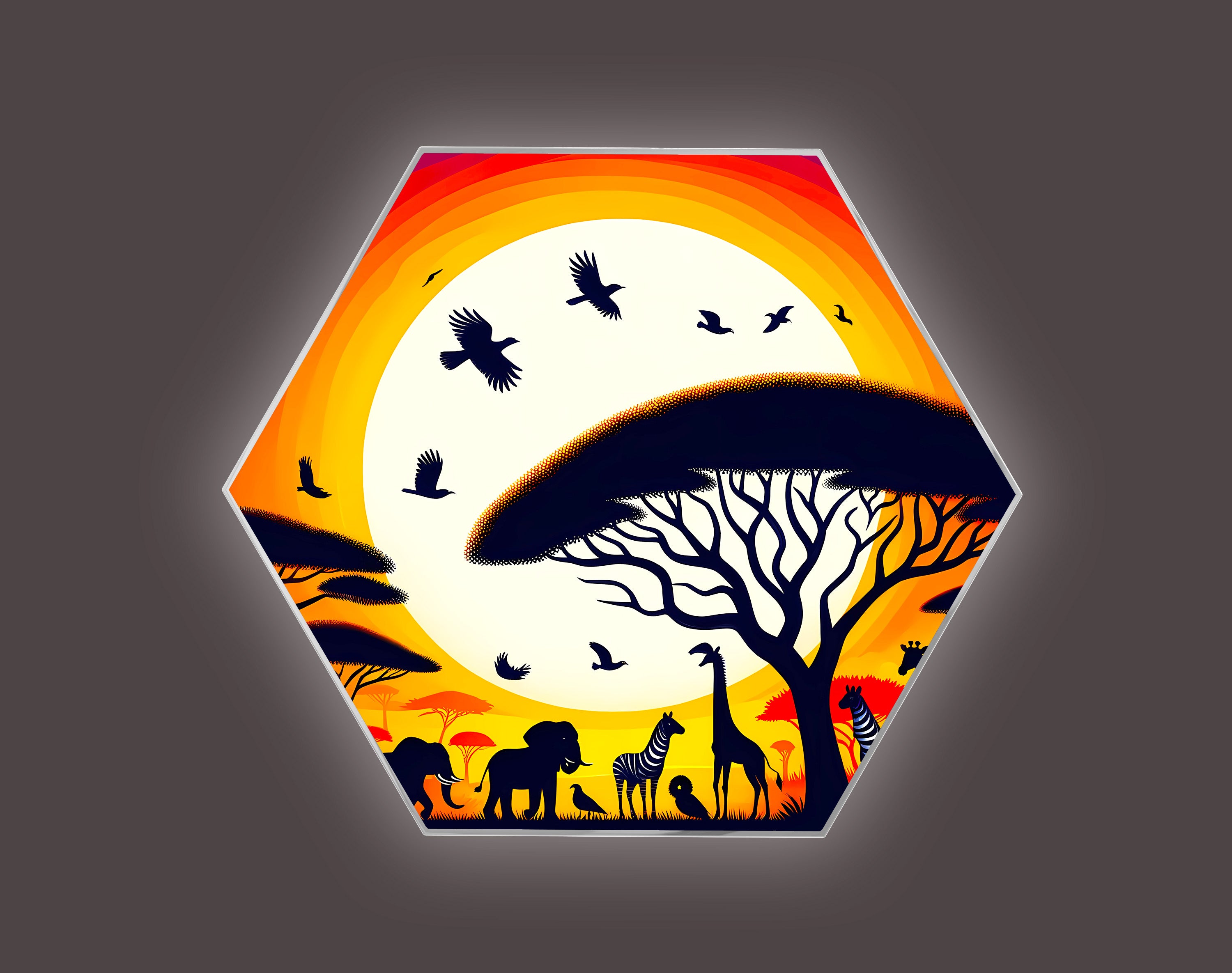 Quasar Lighting - Premium Lighting Solutions